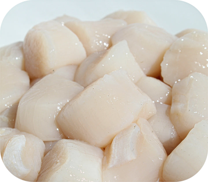 Frozen- Cape Cod Sea Scallops 1lb – Red's Best
